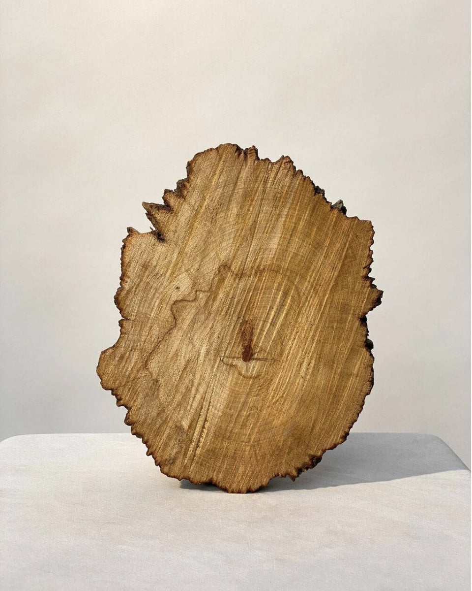 Palo Santo Tree - Specimen VI | Bio Alchemy Olfactive