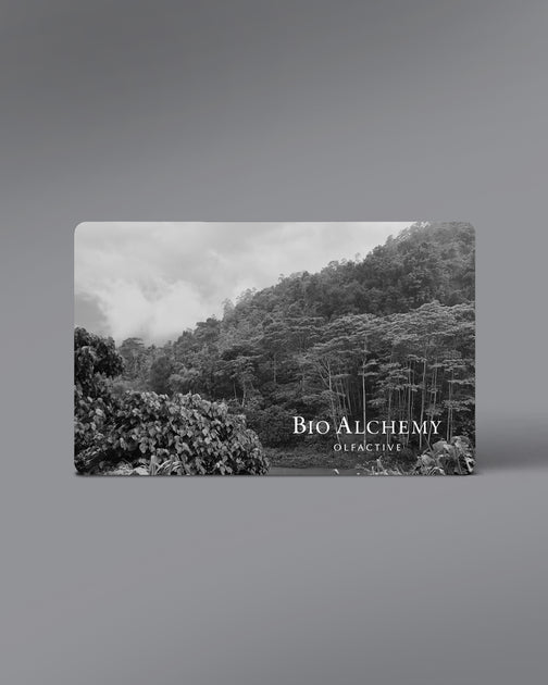 Bio Alchemy Gift cards for the senses | Bio Alchemy Olfactive
