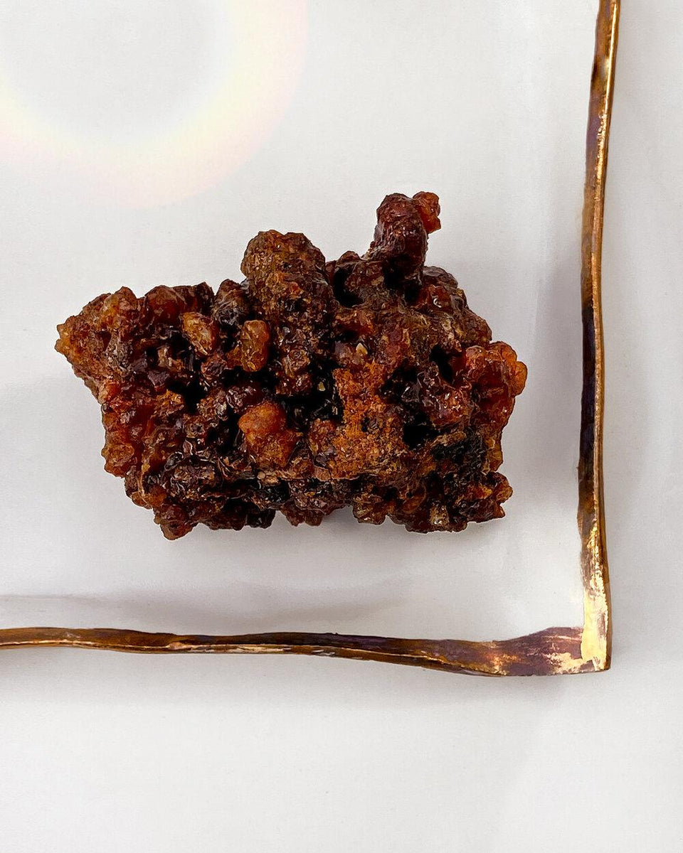 Opoponax Resin | Bio Alchemy Olfactive